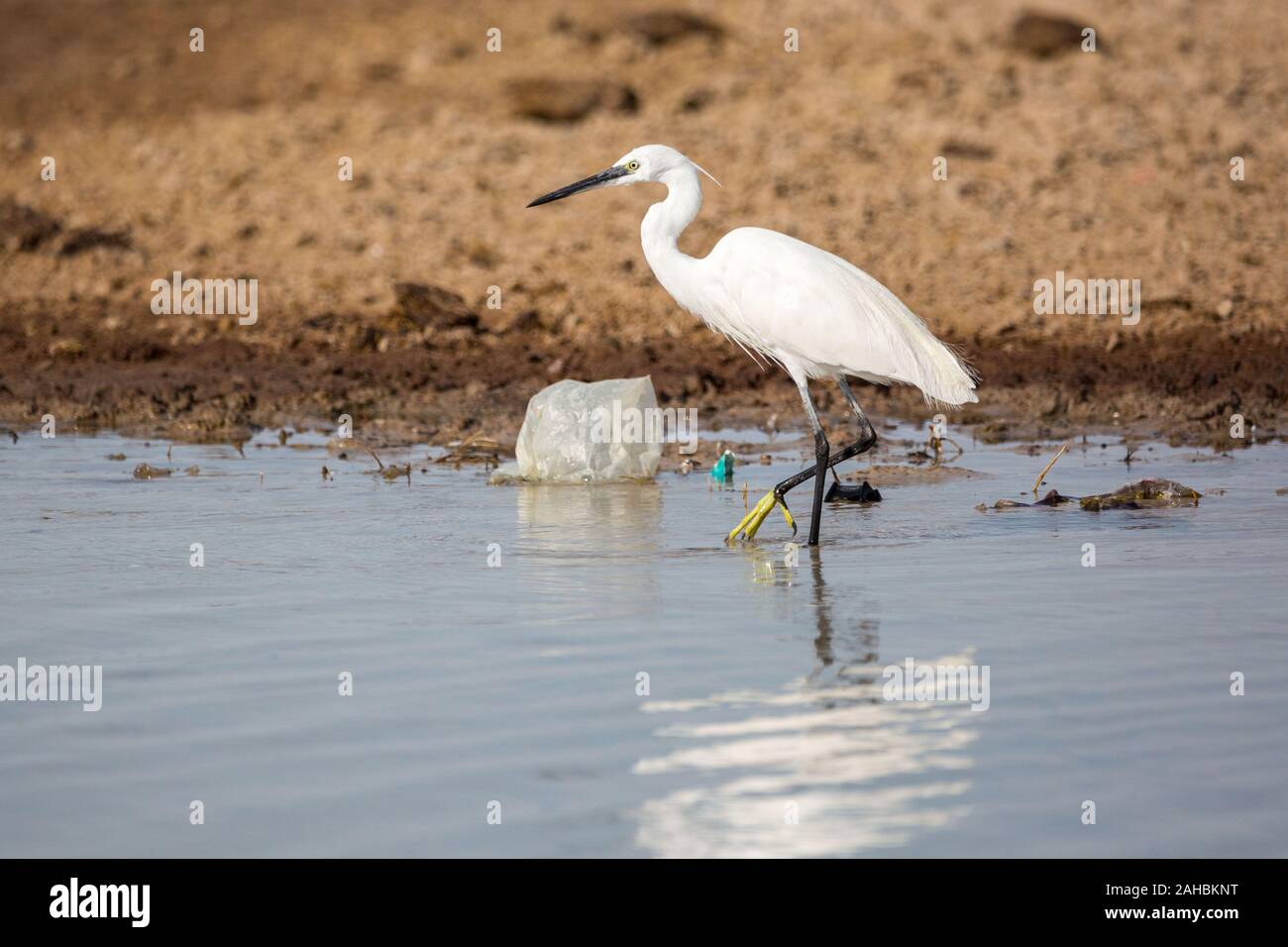 Namibia pollution hi-res stock photography and images - Alamy