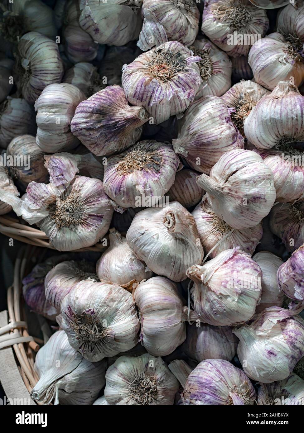 Fresh garlic bulbs hi-res stock photography and images - Alamy