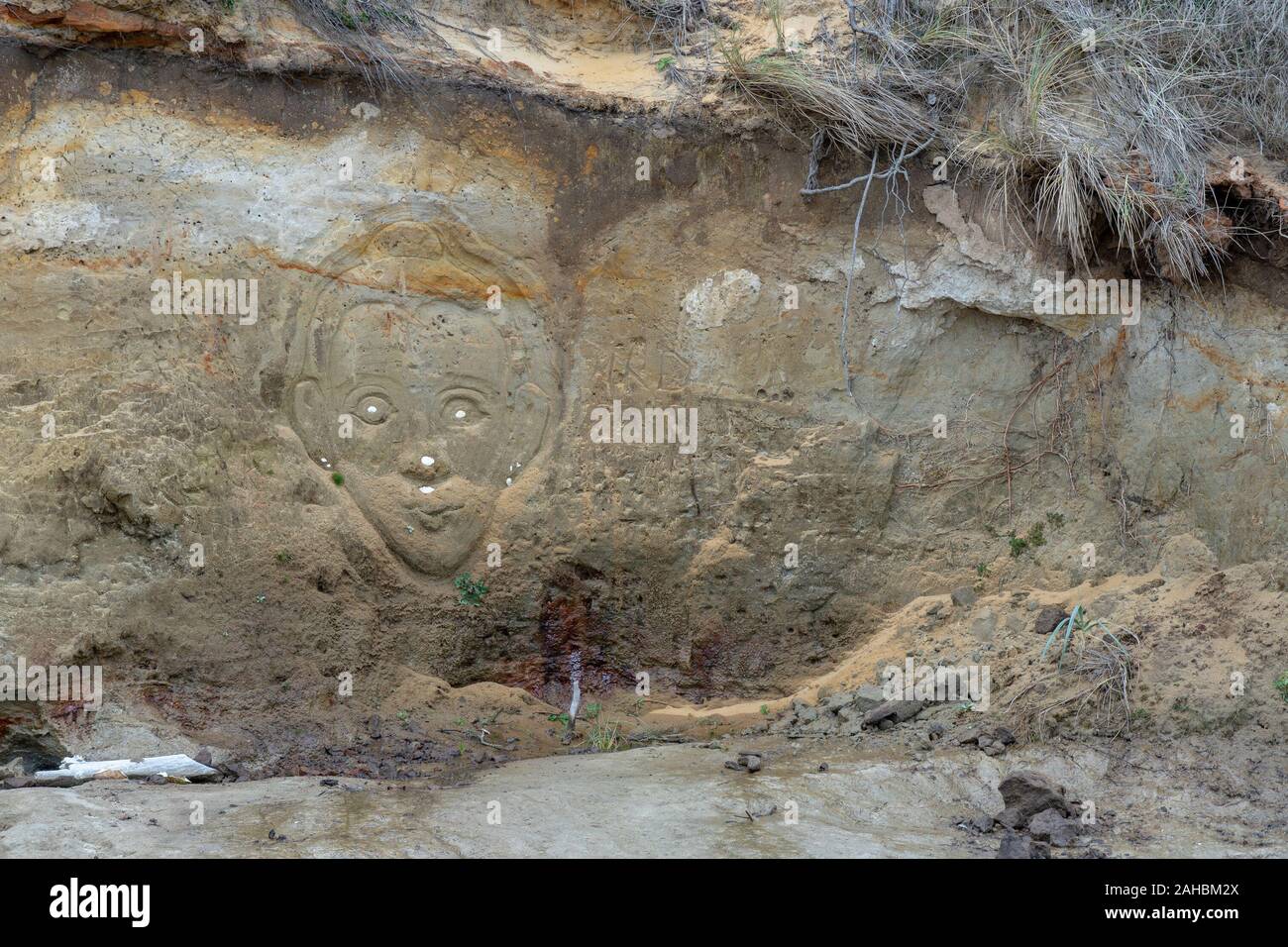 Oregon Coast Trail - Pacific Northwest during October Stock Photo - Alamy