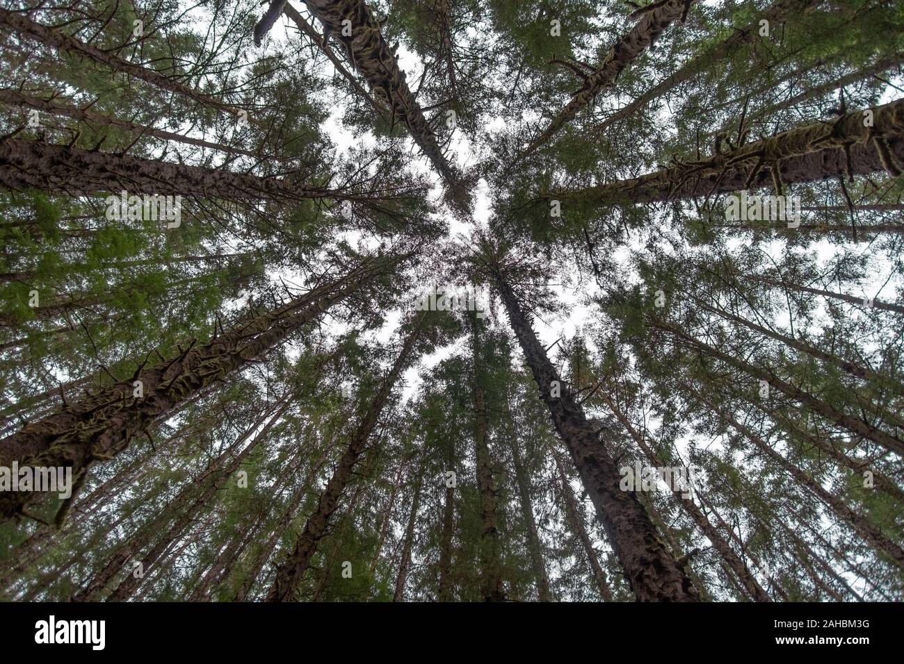 Oregon Coast Trail - Pacific Northwest during October Stock Photo - Alamy