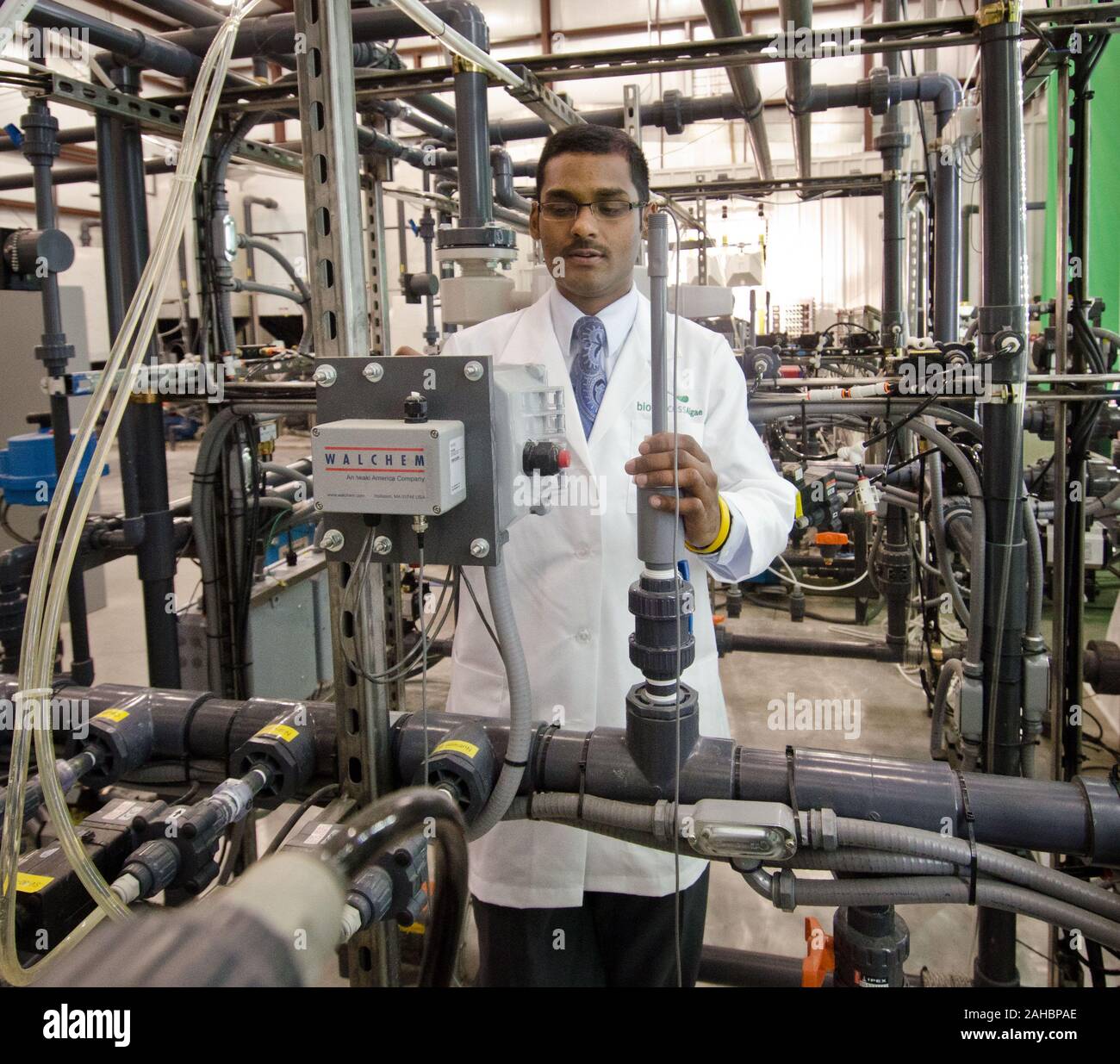 BioProcess Algae Field Engineer Thiruvenkadam Viswanathan at the ...
