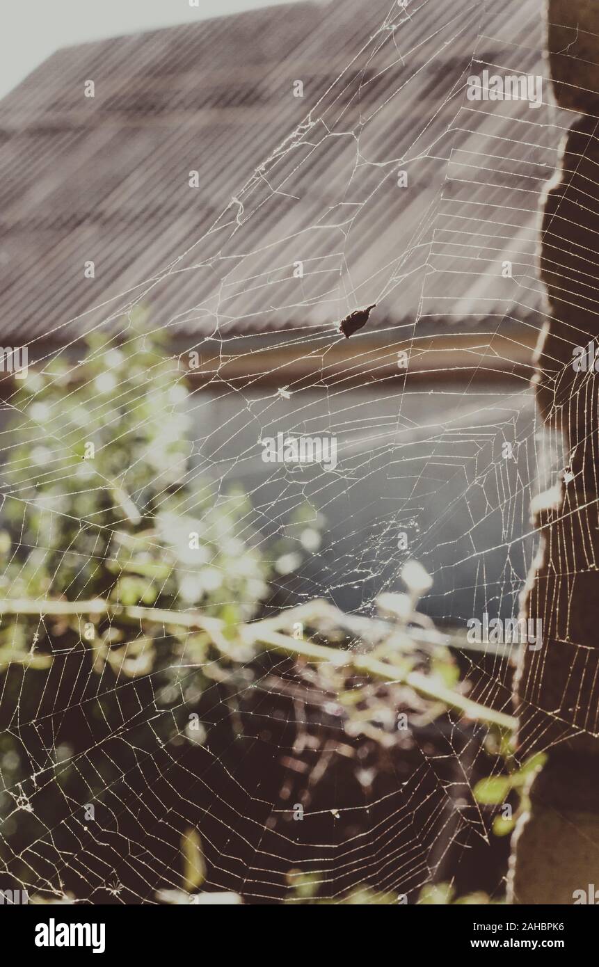 Sun Rays Inside A Building High Resolution Stock Photography and Images ...