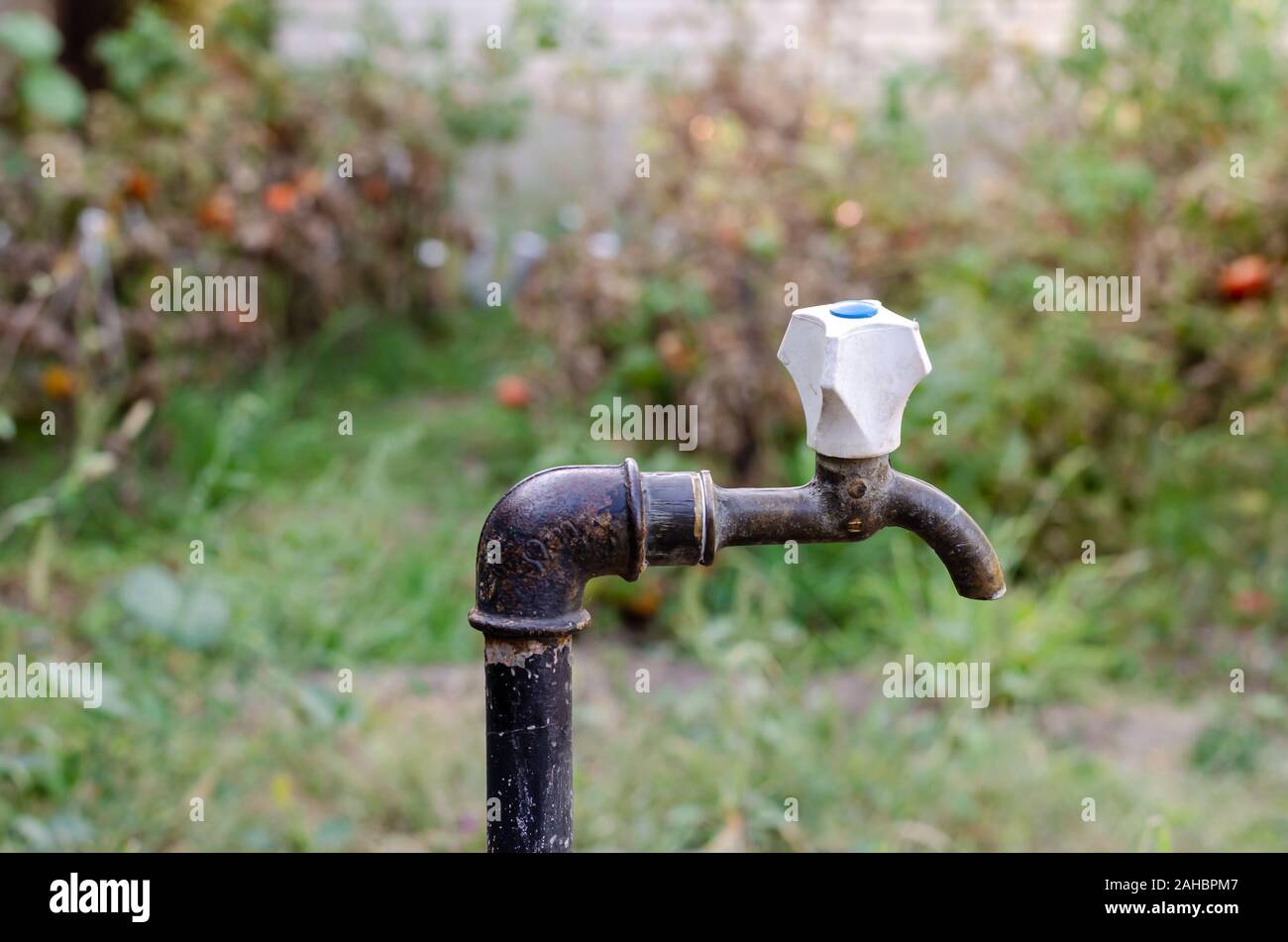 Closeup of a bronze water tap in the back yard of a rural house. Metal ...