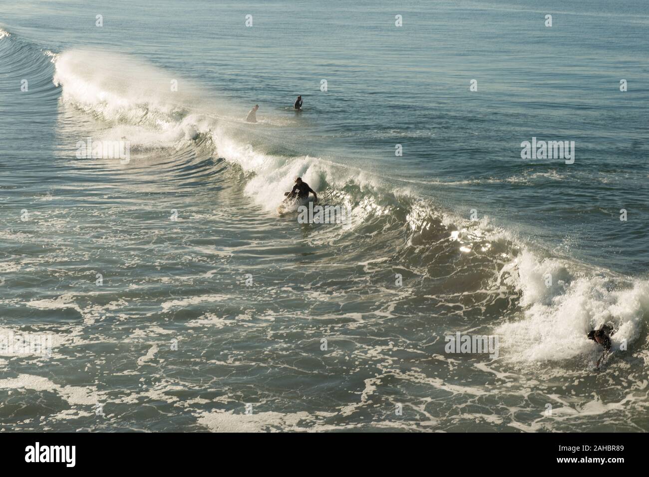Surfing at Venice Beach Stock Photo - Alamy