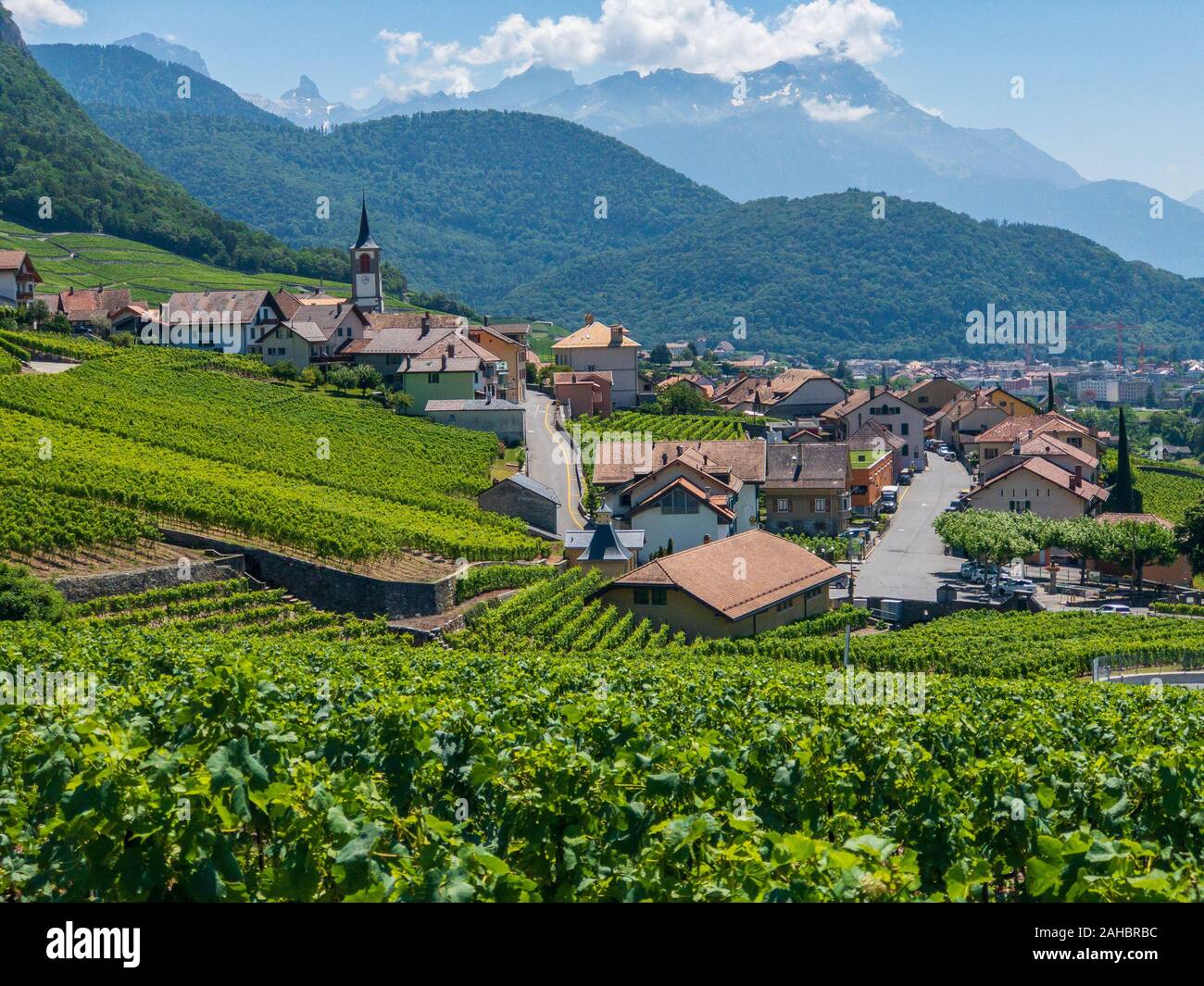 Summer Switzerland valley landscape with vineyards at foreground Stock ...