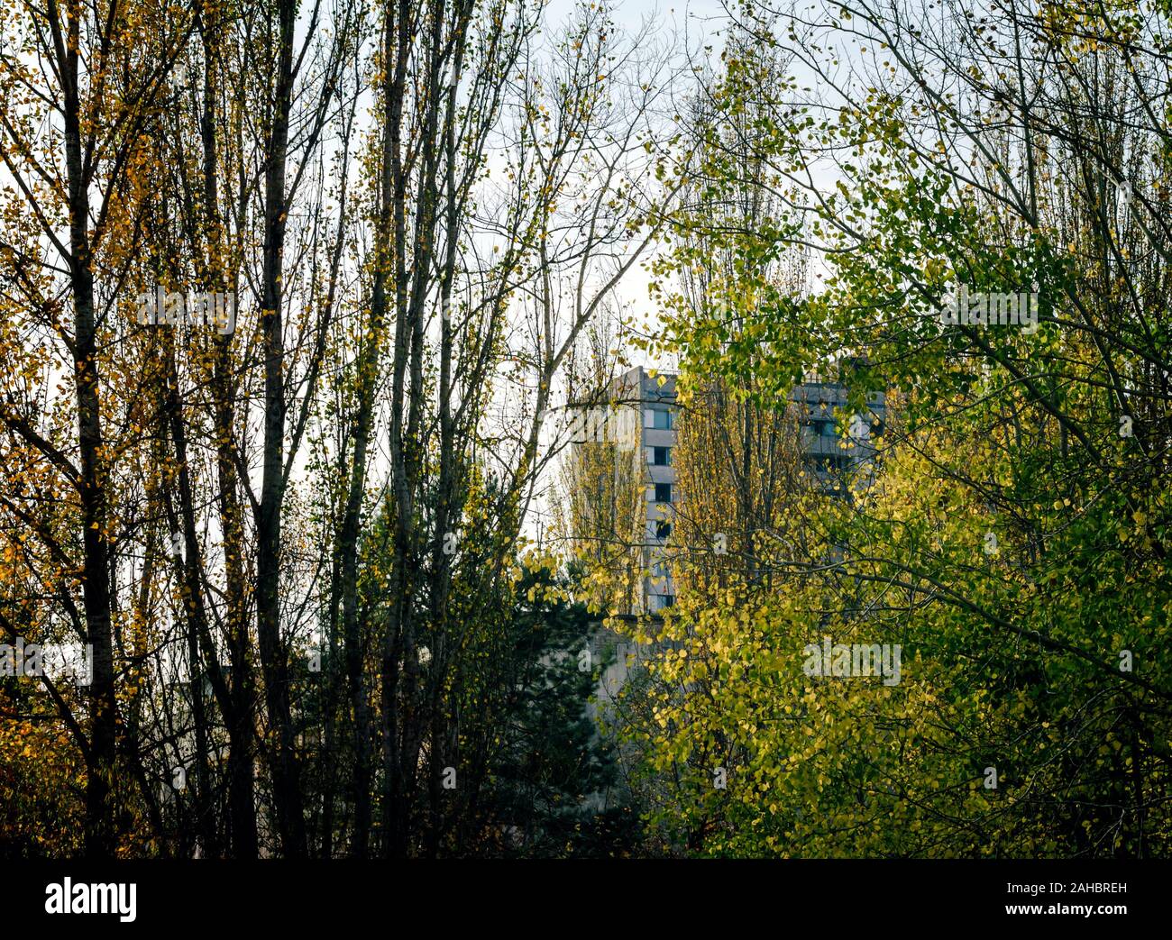 old empty big house on the street of the abandoned city Chernobyl ...