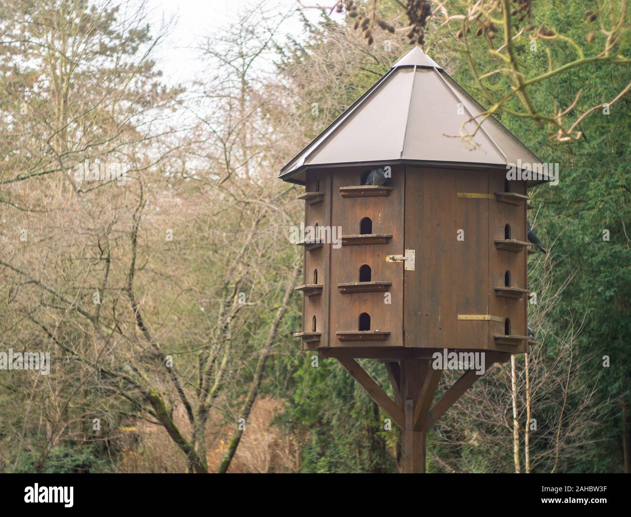 Cot house hi-res stock photography and images - Alamy