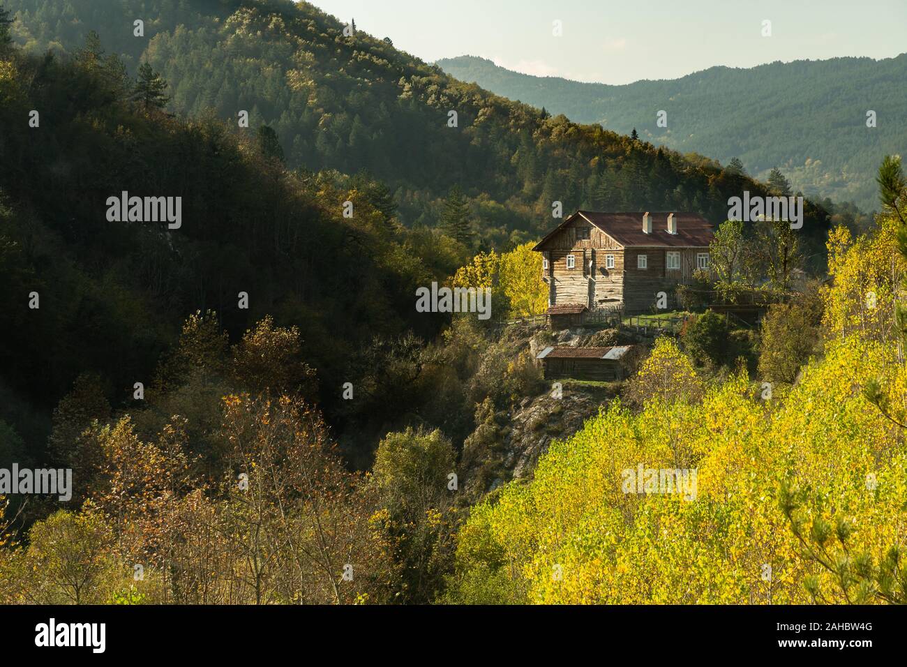 Nested leaves hi-res stock photography and images - Alamy