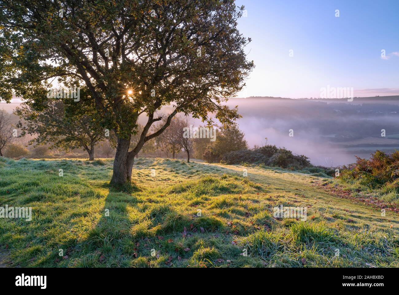 Torrington Commons, Torrington, North Devon, UK Stock Photo - Alamy