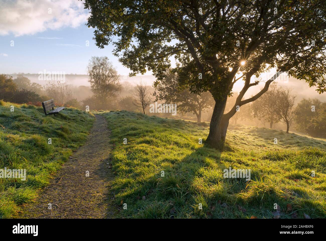 Torrington Commons, Torrington, North Devon, UK Stock Photo - Alamy