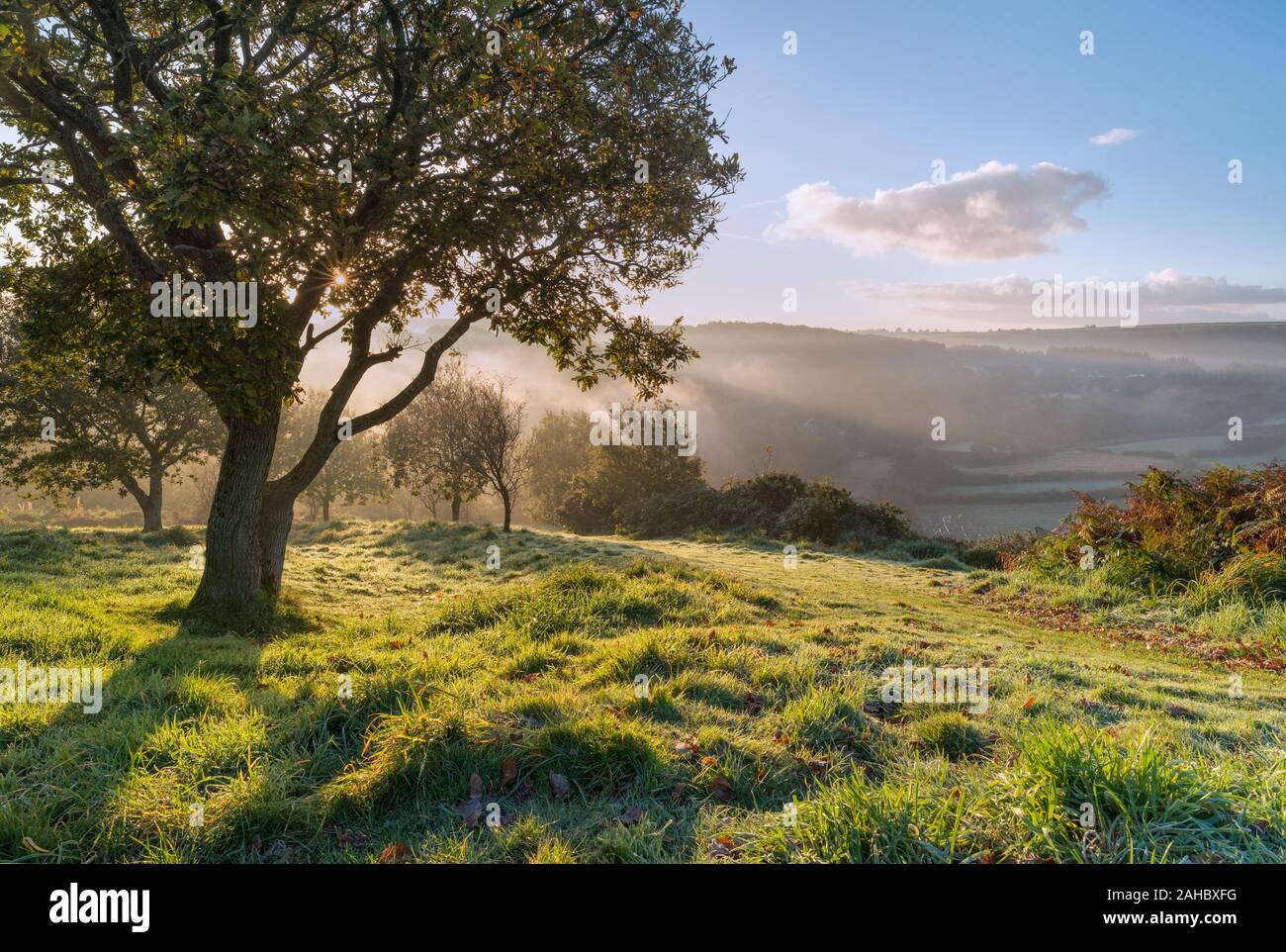 Torrington commons hi-res stock photography and images - Alamy