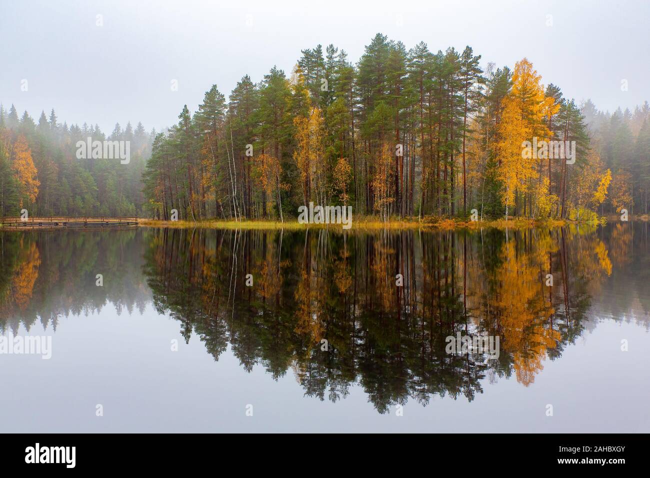 Colorful forest in Finland with mirror image in lake during autumn ...
