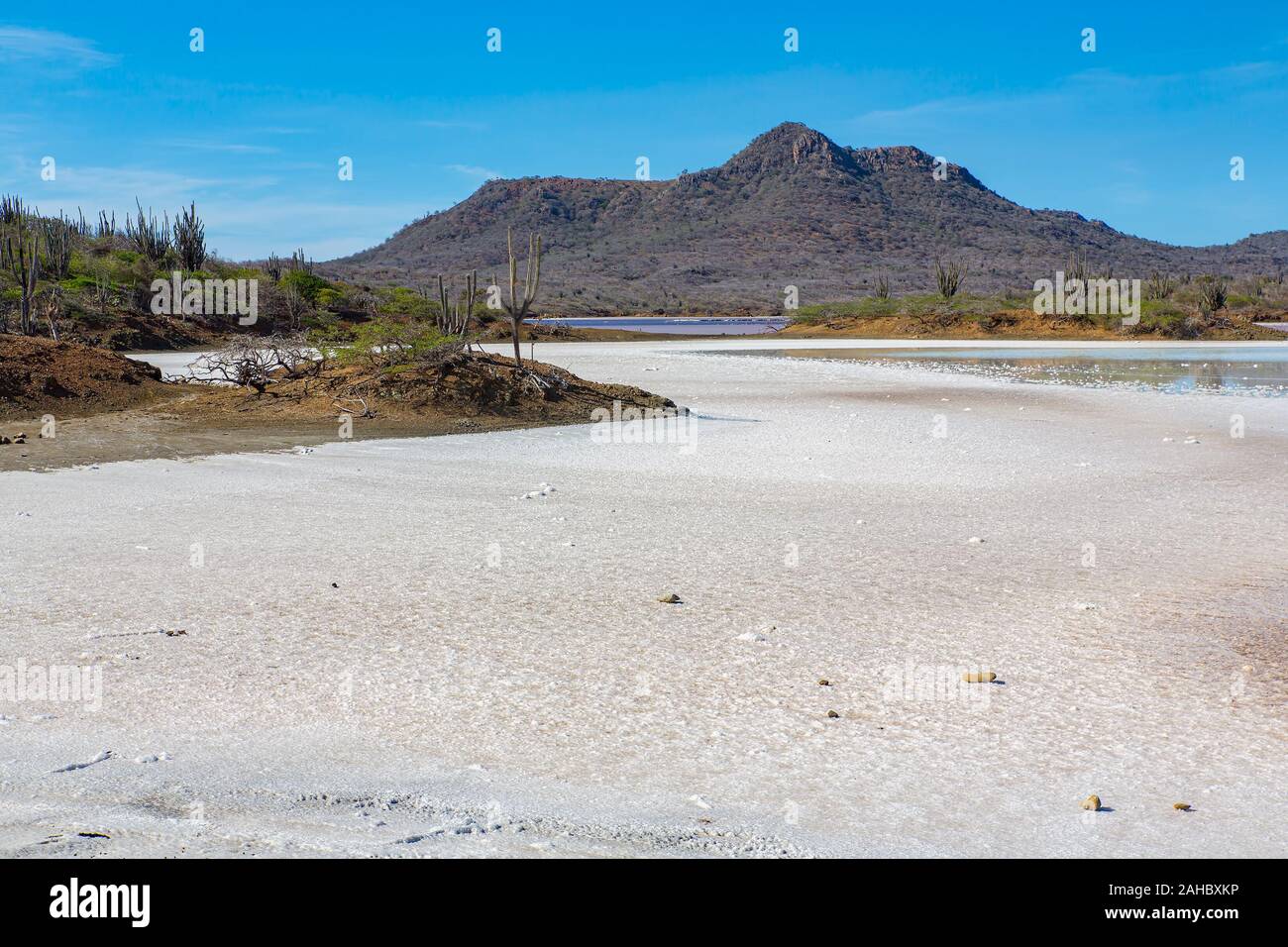 Salt field landscape with mountains on island Bonaire Stock Photo - Alamy