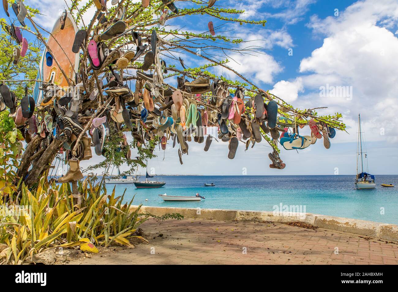 Tree decorated with slippers in landscape at coast of Bonaire Stock ...
