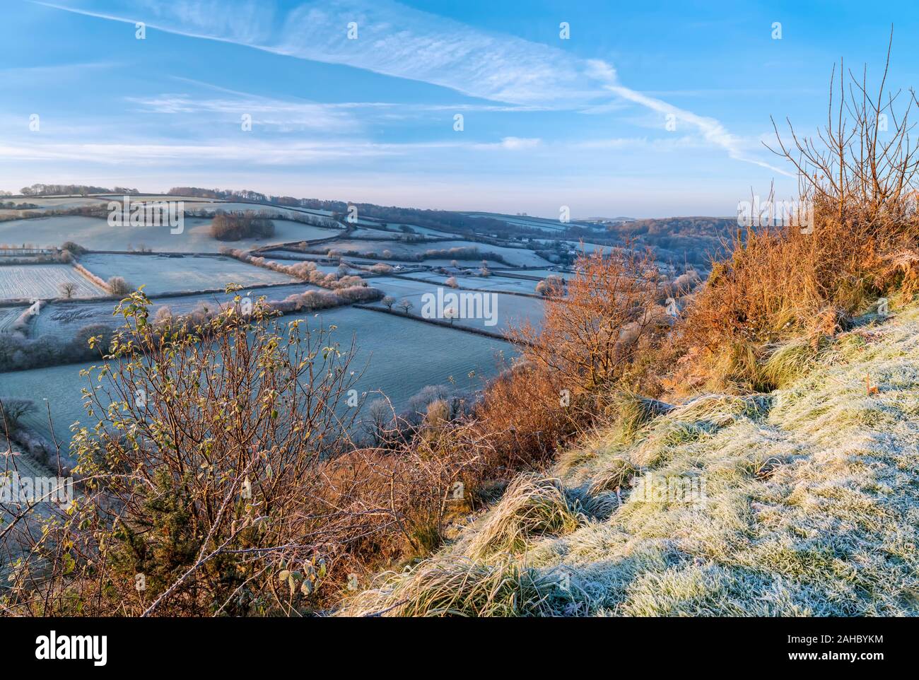 Torrington Commons, Frosty Morning, North Devon, UK Stock Photo - Alamy
