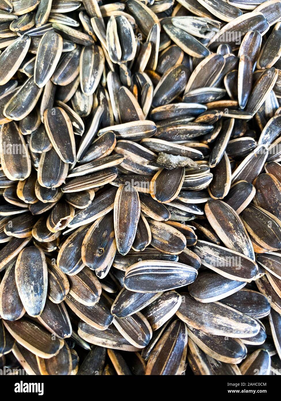 Seeds in husk. Background made of seeds. Photowall-paper. Natural food ...