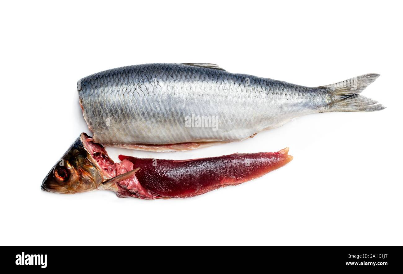 Herring Fish High Resolution Stock Photography and Images - Alamy