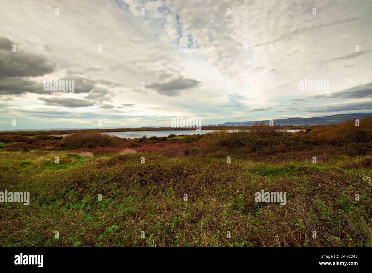 Kenfig natural nature reserve hi-res stock photography and images - Alamy