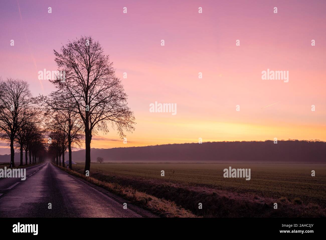Gehrden, Germany. 28th Dec, 2019. A tree stands out on the horizon in ...