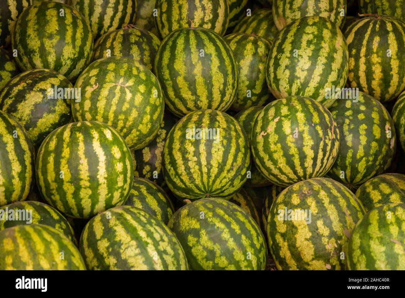 Striped melon hi-res stock photography and images - Alamy
