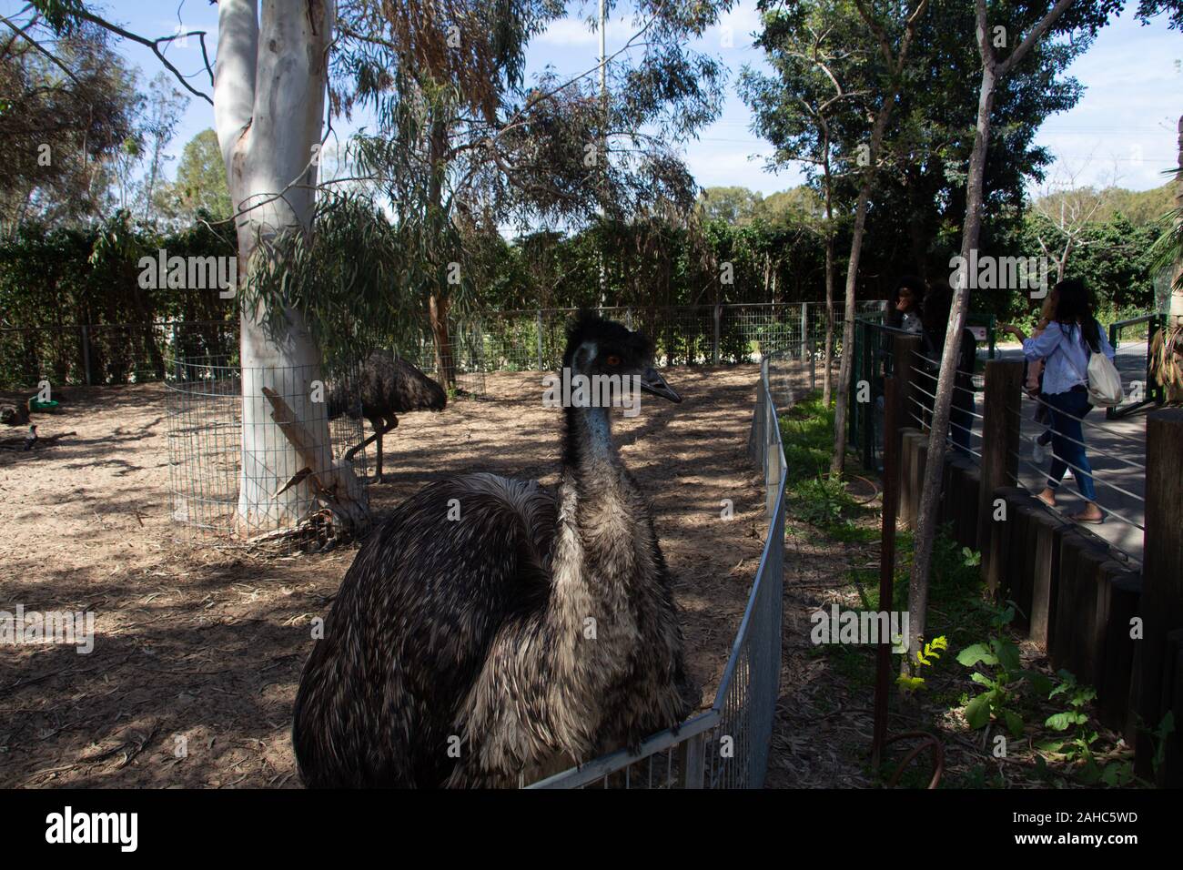a zoo and the animals living inside it Stock Photo - Alamy