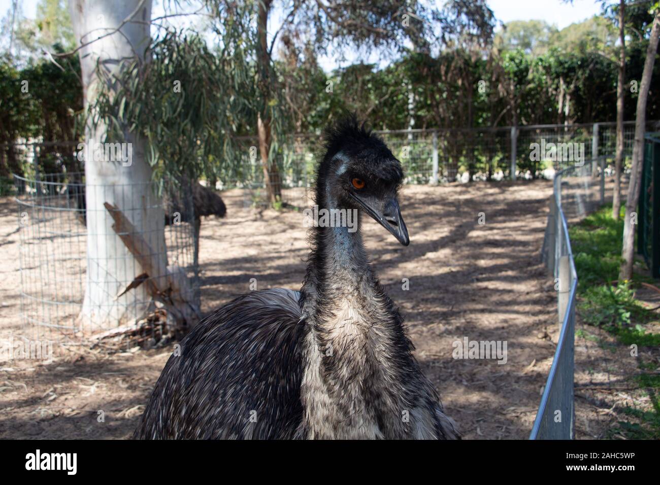 a zoo and the animals living inside it Stock Photo - Alamy