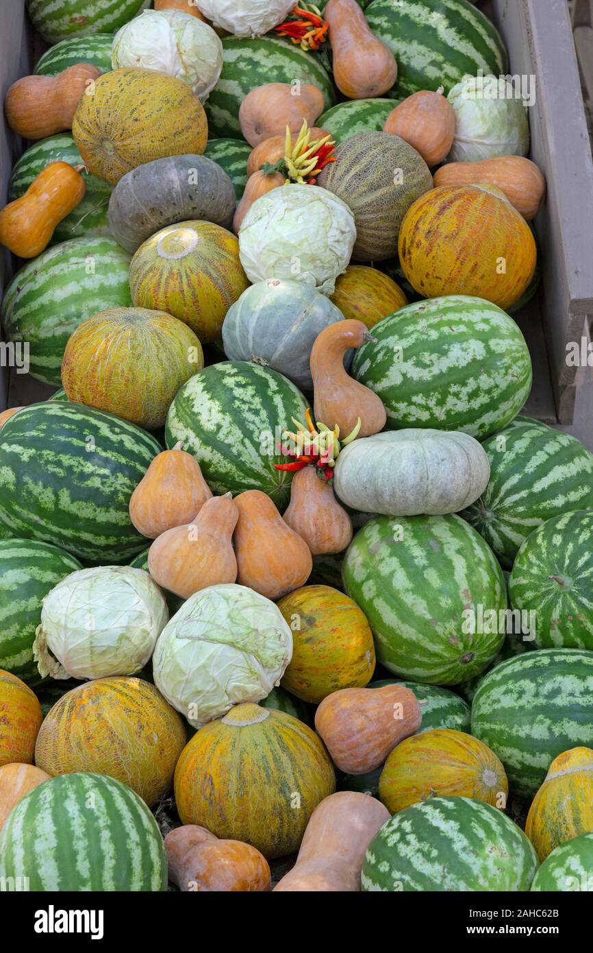 Watermelons at a festival celebrating national Uzbek and Russian food ...