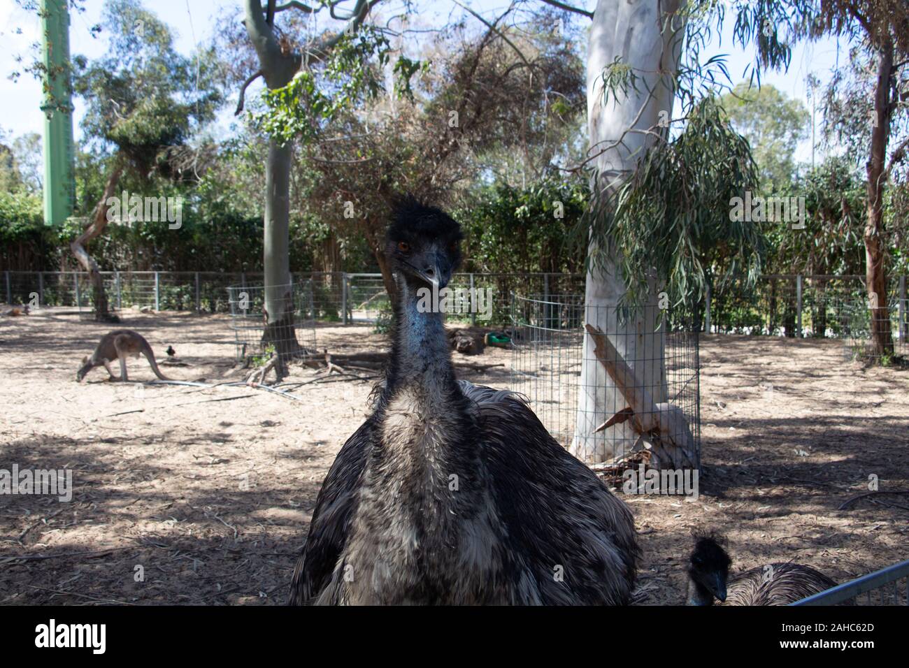 a zoo and the animals living inside it Stock Photo - Alamy