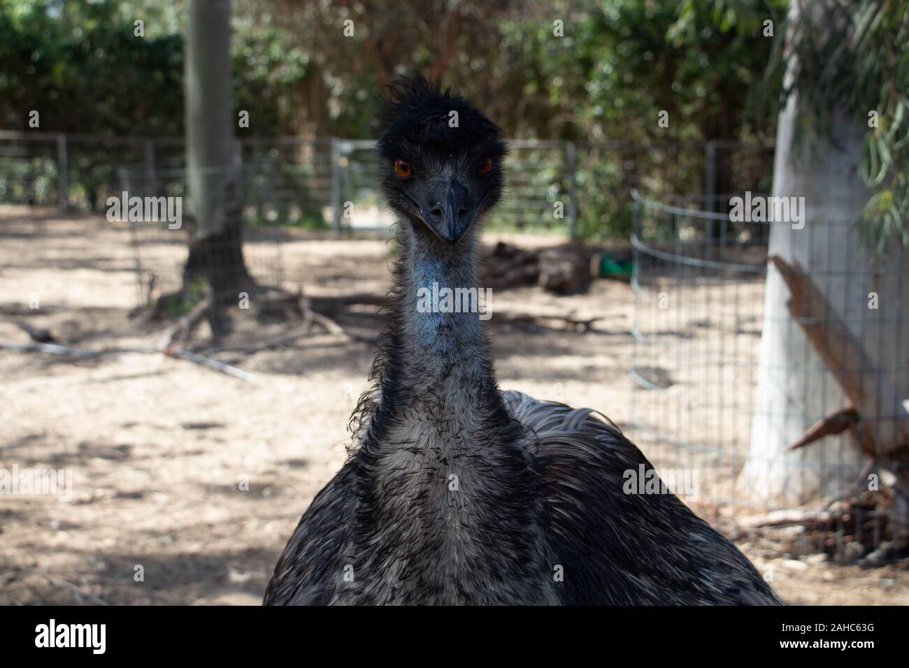 a zoo and the animals living inside it Stock Photo - Alamy