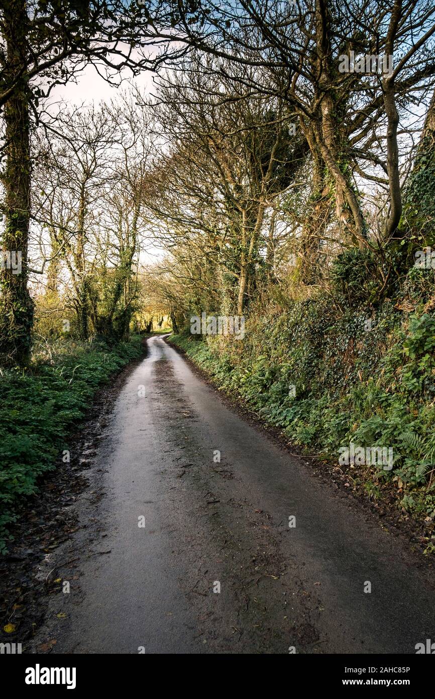 Quiet cornish country lane hi-res stock photography and images - Alamy