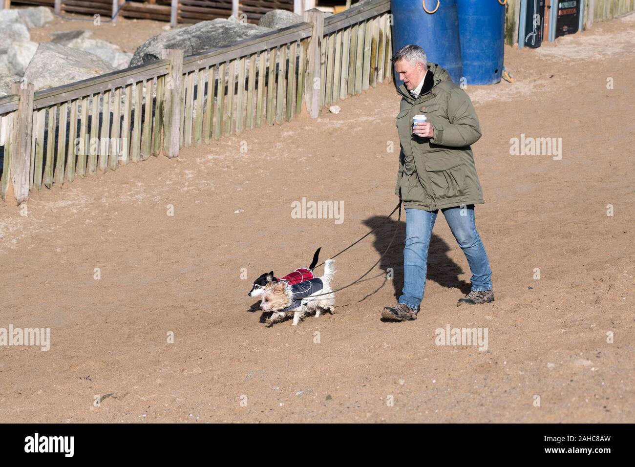 Man walking small dog hi-res stock photography and images - Alamy
