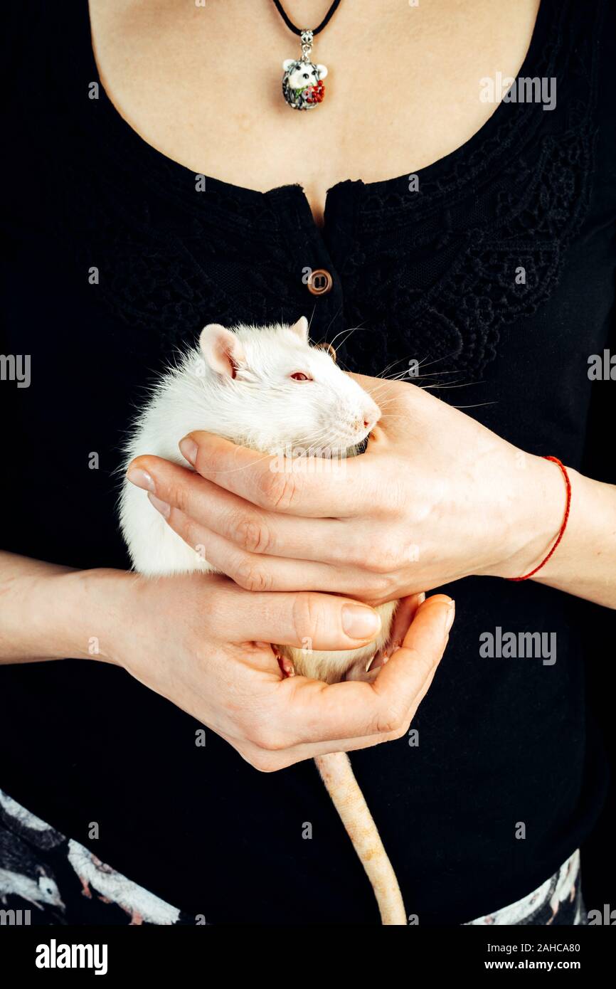 Pet care concept female hi-res stock photography and images - Alamy