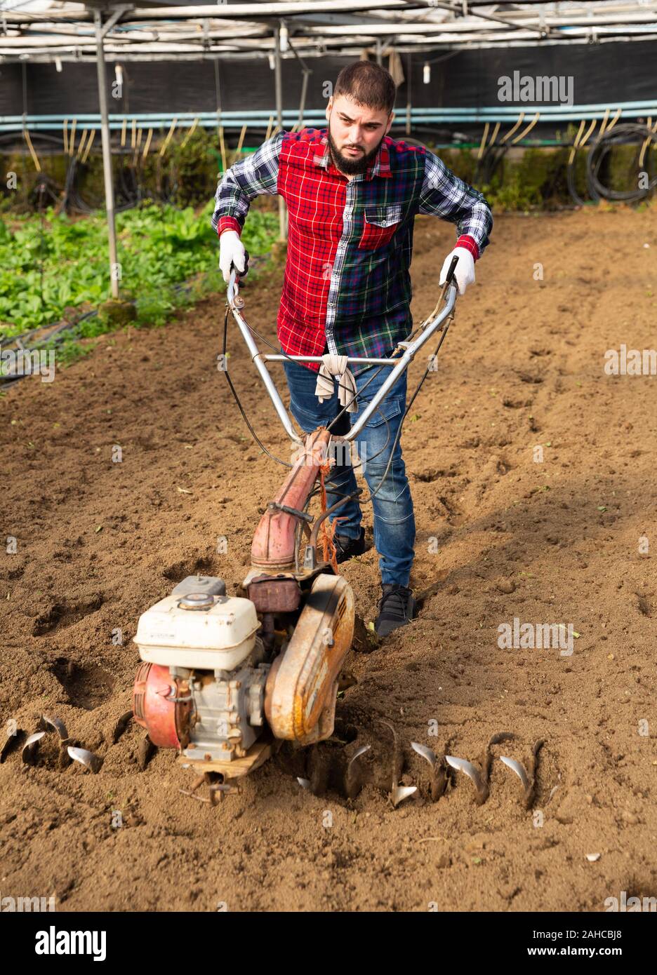 Young man plowing ground with cultivator at greenhouse Stock Photo - Alamy