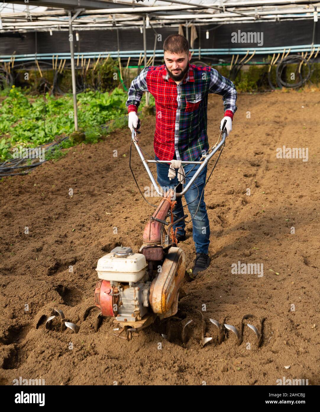 Arabic man gardening hi-res stock photography and images - Alamy
