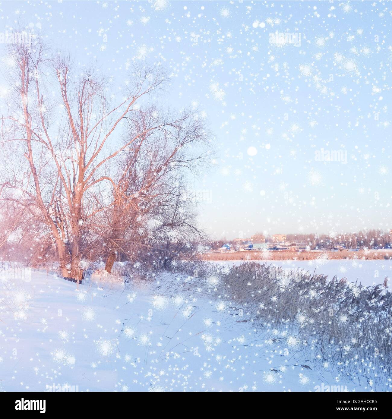 Winter morning landscape with falling snow effect Stock Photo - Alamy