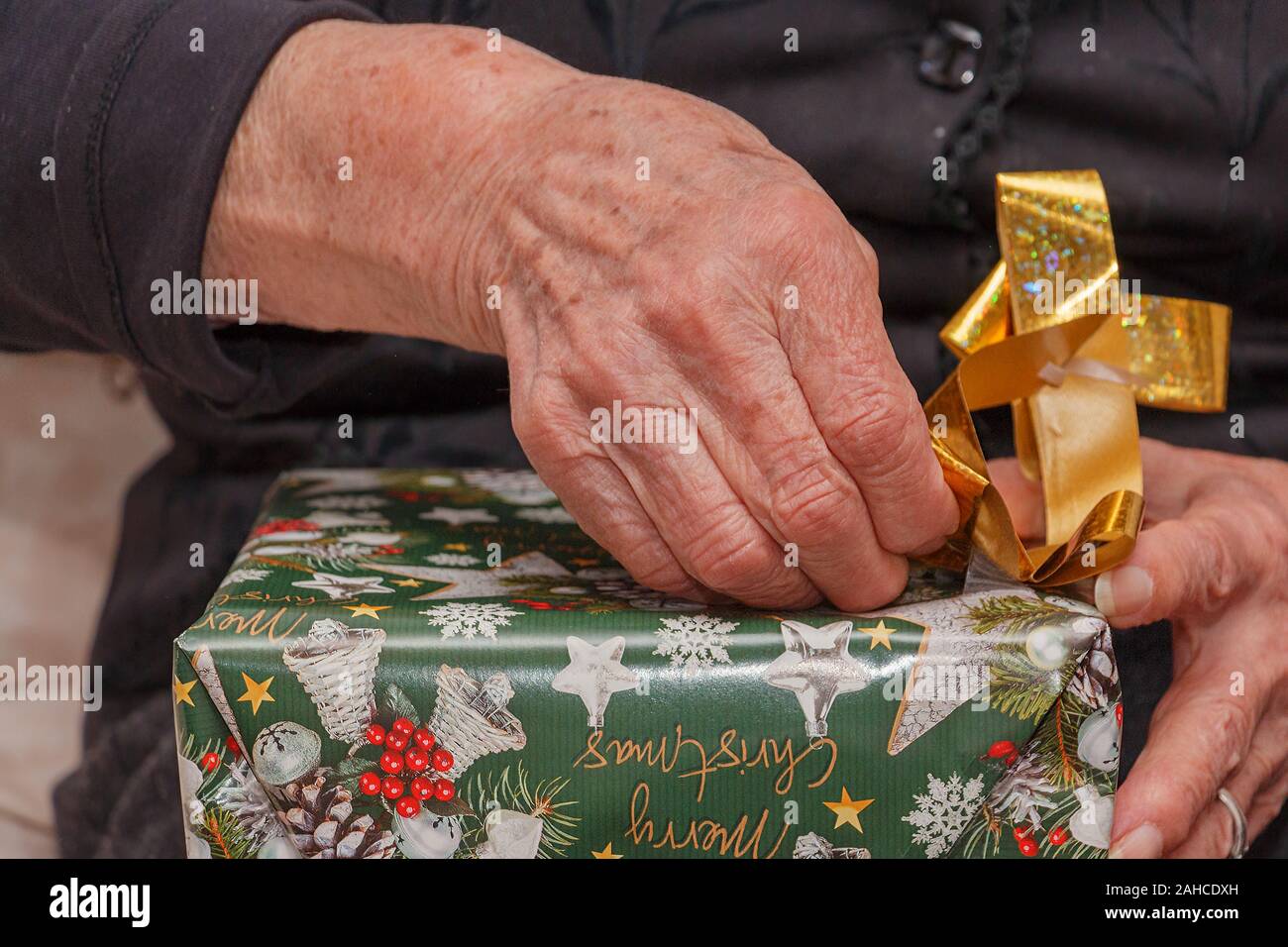 Opening th Christmas gift. Hands of old woman open the Christmas ...