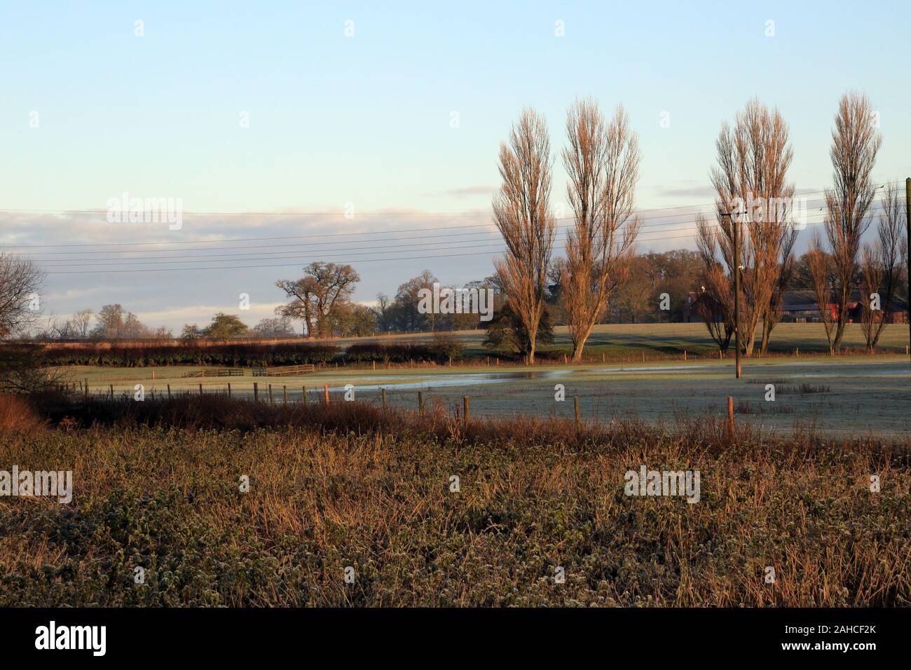 Frozen field in winter at South Otterington near Northallerton in North ...