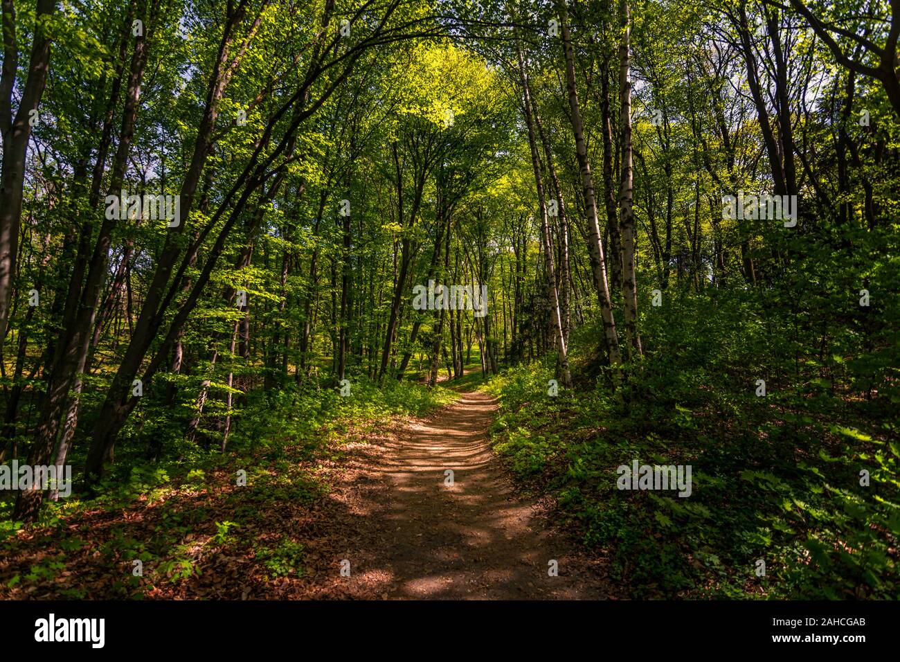 Scenery. Walk in nature. Pleasant outdoor activities Stock Photo - Alamy