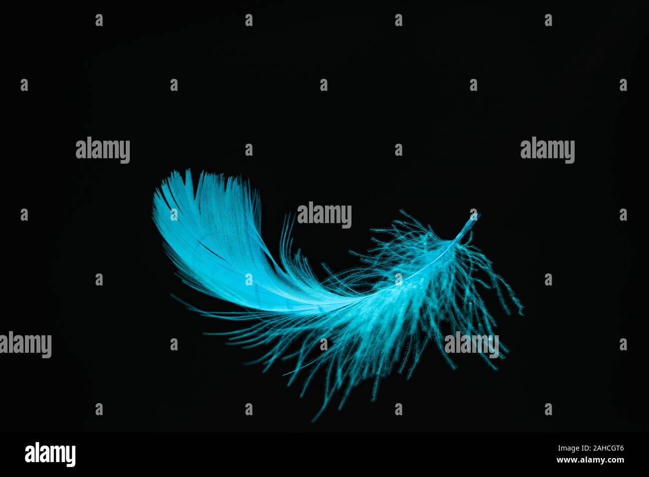 Beautiful blue Bird feather pattern for design texture. Isolated on ...