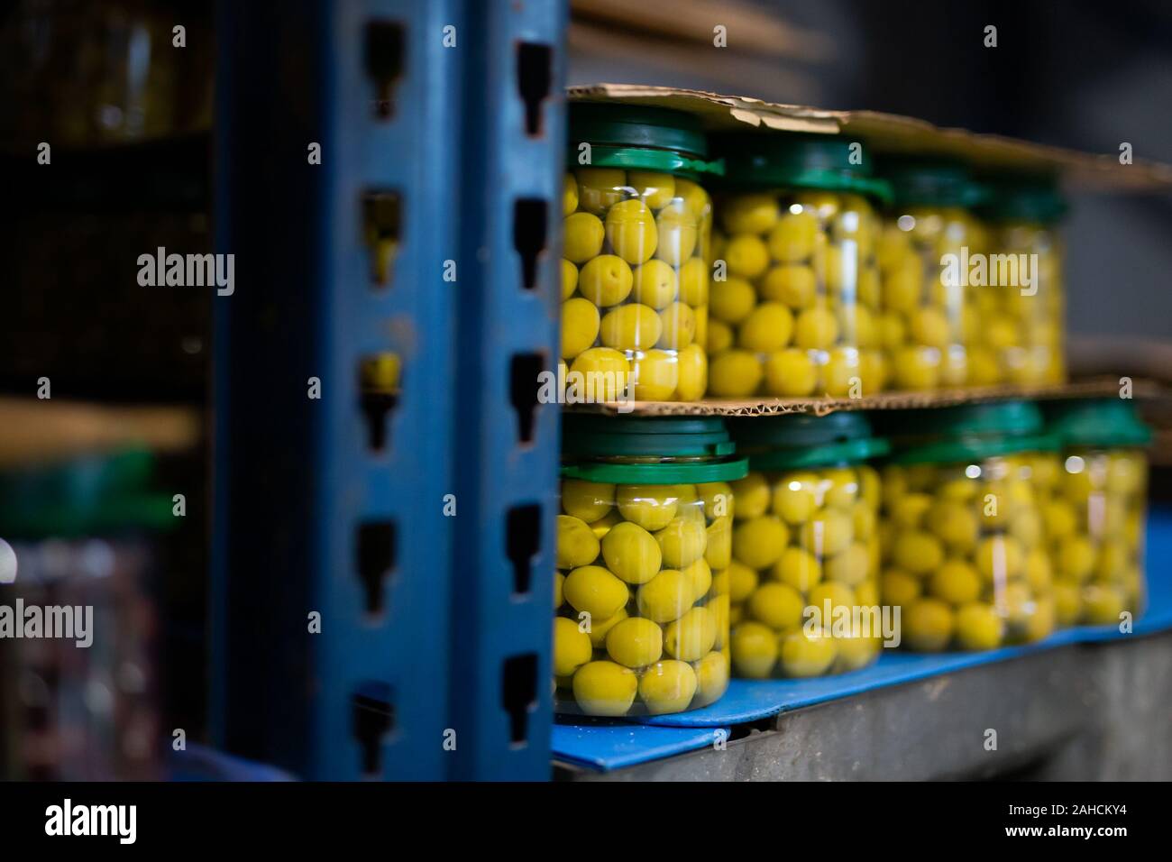 Rows of glass jars of green unpitted olives in brine. Artisanal ...