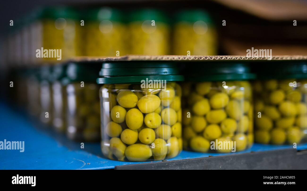 Rows of glass jars of green unpitted olives in brine. Artisanal ...