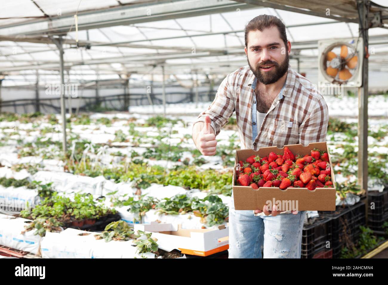 Positive male farmer strawberries hi-res stock photography and images ...