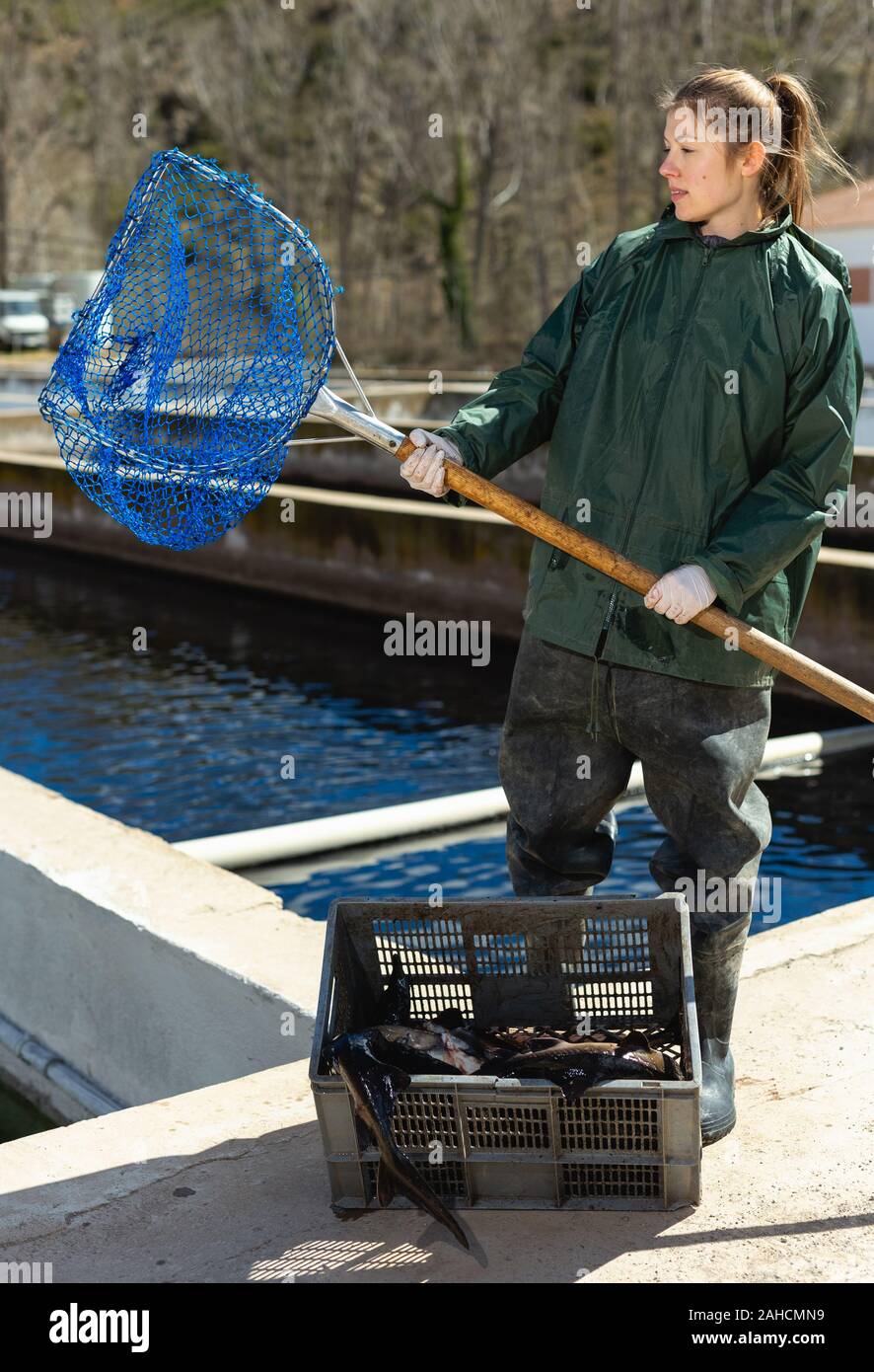 Female farm worker fishing hi-res stock photography and images - Alamy