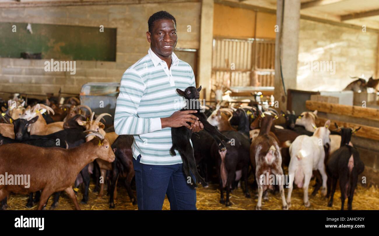 Portrait of experienced African American owner of goat farm looking ...