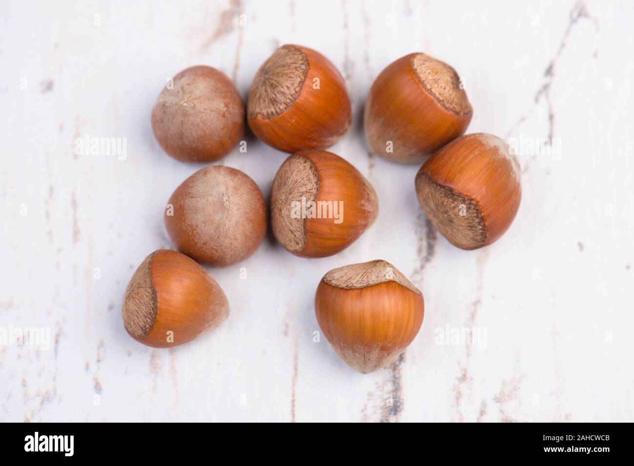 Hazelnuts with the nutshell on a structured background, empty copy ...