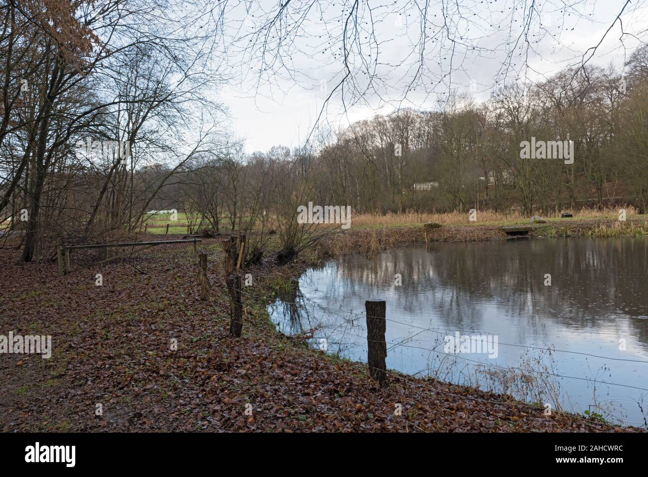 Pond germany hi-res stock photography and images - Alamy