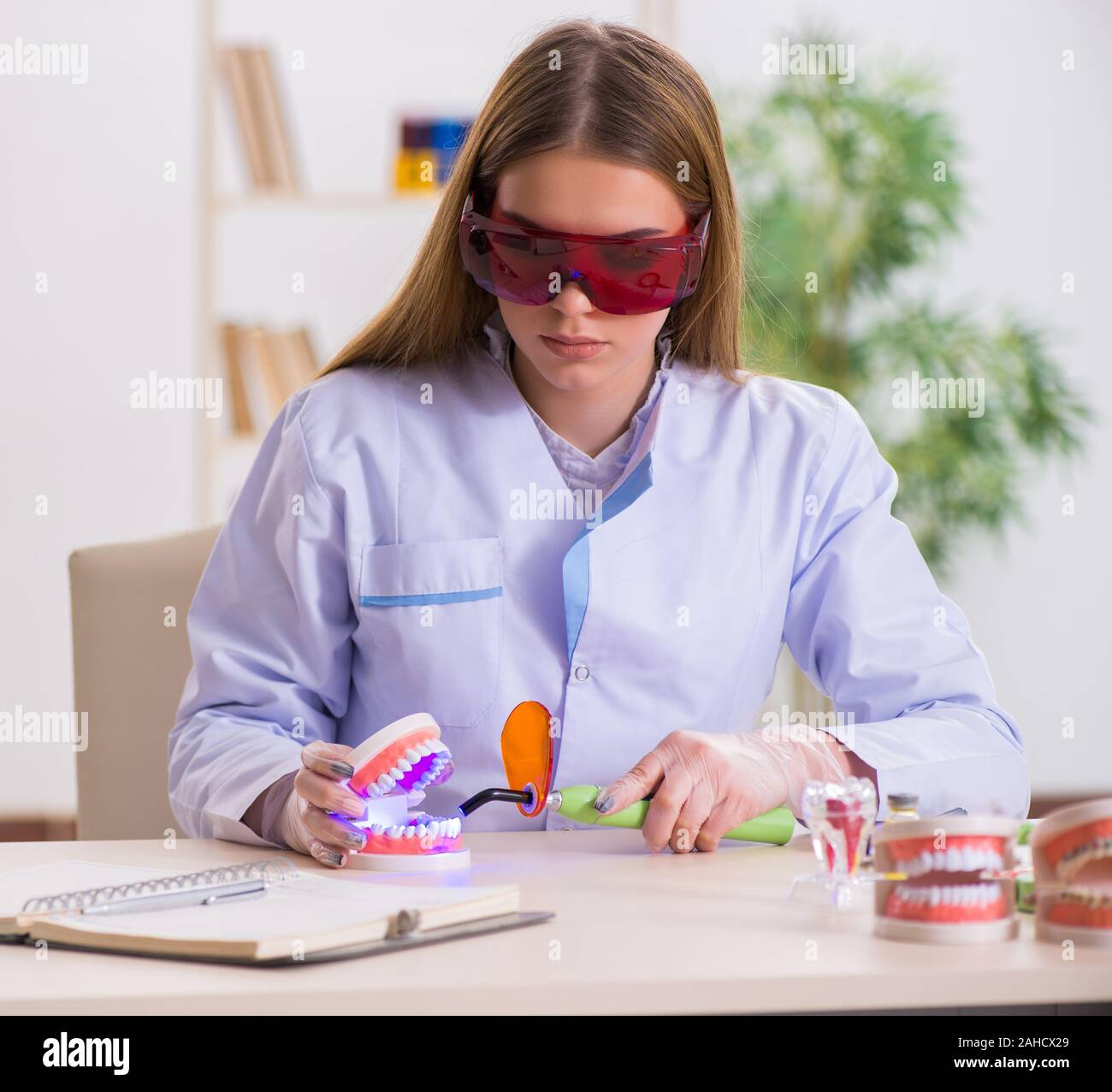 The dentistry student practicing skills in classroom Stock Photo - Alamy