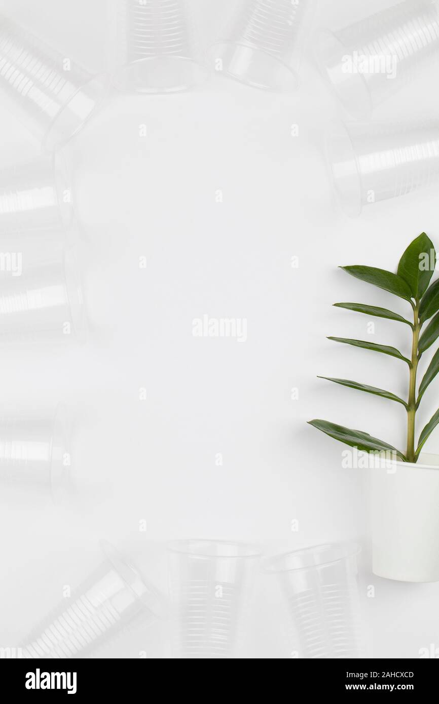 eco friendly disposable, compostable, recyclable paper cup with plant ...