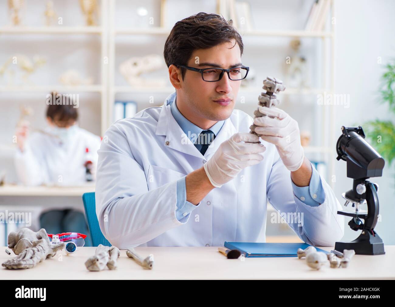 The professor studying human skeleton in lab Stock Photo - Alamy