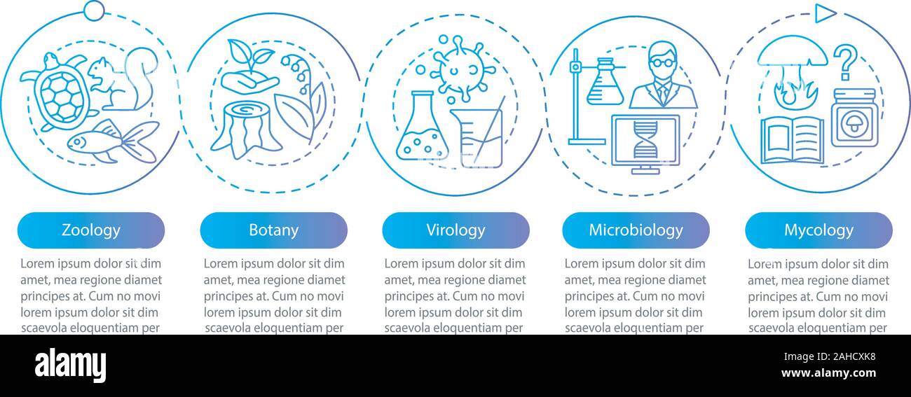 Biology branches vector infographic template. Zoology, botany, virology ...